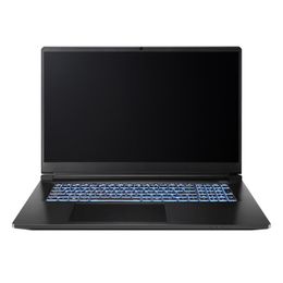 Captiva Gaming-Notebook &raquo;Advanced Gaming I94-292GE&laquo; ohne Windows