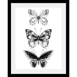 queence Bild &raquo;Schmetterlinge&laquo; Insekten Kunst Schmetterlinge Schwarz-Wei&szlig; Tiere HD Premium Poster-Druck inkl. Holzrahmen schwarz Acrylglas, Holz, 