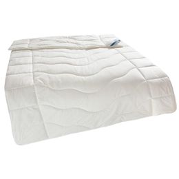 Beco Kunstfaserbettdecke &raquo;EcoWell Bettdecken Blauer Engel zertifiziert! F&uuml;r Sommer und Winter&laquo; leicht F&uuml;llung Polyester 1 Stk. tlg. Bettdecke...