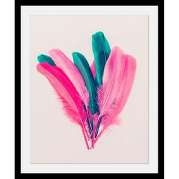 queence Bild &raquo;Federn&laquo; Federn Kunst HD Premium Poster-Druck inkl. Holzrahmen Farbe Rahmen: schwarz + Farbe Bild(er): bunt
