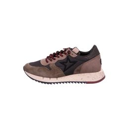 CETTI Sneaker Low in Oliv | Gr.: 44