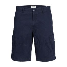 Jack & Jones Jack & Jones Cargo Pants 'JPSTCOLE MATEO' male Blue size S