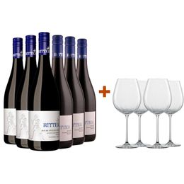 Weingut Ritter Probier-Paket Rotwein + 4x Zwiesel Rotweinglas Prizma Trocken - Nahe &ndash; Probierpaket Qualit&auml;tswein