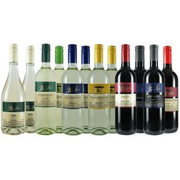 Weingut Allacher Kennenlernpaket gross - Burgenland &ndash; Probierpaket Diverse