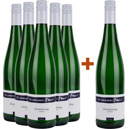 Weingut Sonnenhof Langenlonsheim 5+1 Paket Chardonnay 2024 Edels&uuml;&szlig; - Nahe &ndash; Probierpaket Sp&auml;tlese