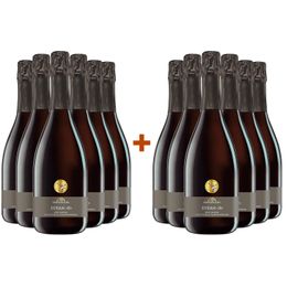 Remstalkellerei 6+6 Paket "R" Sekt b.A Syrah Brut nature - W&uuml;rttemberg &ndash; Probierpaket b.A.