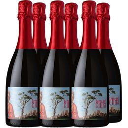 Terre del Cima Conegliano Valdobbiadene Prosecco Superiore Paket Glera - Venetien &ndash; Probierpaket DOCG
