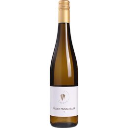 SCHILD.WEIN -S- Gelber Muskateller 2022 Trocken - Rheinhessen &ndash; Wei&szlig;wein Qualit&auml;tswein