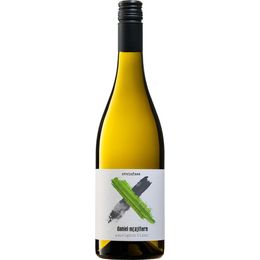 Weingut Daniel Mattern Steinfass Sauvignon Blanc 2024 Trocken - Rheinhessen &ndash; Wei&szlig;wein Deutscher Landwein