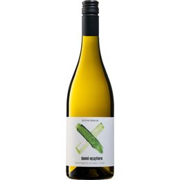 Weingut Daniel Mattern Dittelsheim fum&egrave; Sauvignon Blanc 2024 Trocken - Rheinhessen &ndash; Wei&szlig;wein Qualit&auml;tswein