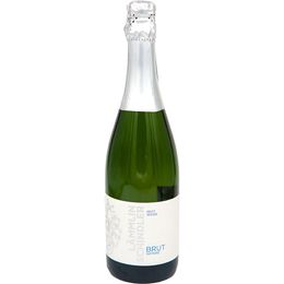 Weingut L&auml;mmlin-Schindler Wei&szlig; Cuve&eacute; brut nature Cuv&eacute;e Brut - Markgr&auml;flerland Baden &ndash; Perl- & Schaumwein Sekt