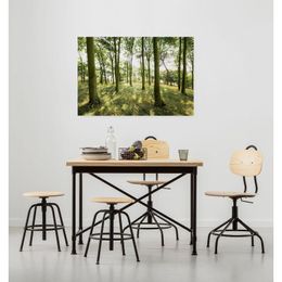 Komar Leinwandbild &raquo;D&auml;nische Buchen - Gr&ouml;&szlig;e 90 x 60 cm&laquo; Baum Berge Blumen Bl&auml;tter Foto Jahreszeiten Landschaft Meer Natur Palmen Strand Packung, 1 Stk. tlg.
