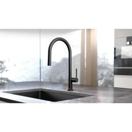 Hansgrohe Talis M54 210 K&uuml;chenarmatur 72800670 schwarz matt, mit Ausziehbrause 2jet