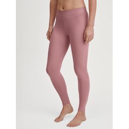 Calida Leggings in lilas | Gr.: L