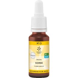 HAGER PHARMA Bachblüten No.13 Gorse Bio 20 ml