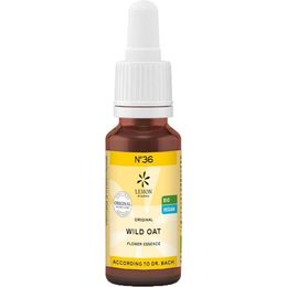 HAGER PHARMA Bachblüten No.36 Wild Oat Bio 20 ml