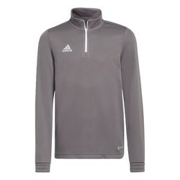 adidas Performance Athletic Sweatshirt 'Entrada 22' boy Grey size 152