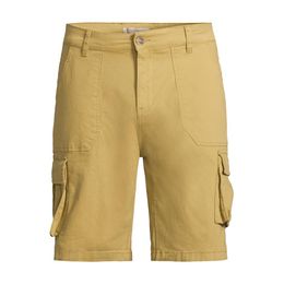 A&eacute;ropostale Cargo Pants male Yellow size 36
