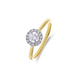 Lucardi Ring female Gold size 62