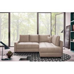 Ecksofa, B:241cm H:92cm T:182cm, braun, exxpo - SOFA FASHION, Wohnzimmer, Sofas, "Chester, Boxspring Federkern-Polsterung, bequem, Breite 241cm,