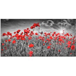 Wandbild Artland, B:60cm H:30cm, schwarz, Wohnzimmer, Bilder, "Idyllisches Mohnblumenfeld mit Sonne", als Alubild, Outdoorbild, Leinwandbild, Poster,