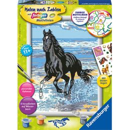 Ravensburger Malen nach Zahlen-Set "Pferd am Strand" - ab 11 Jahren - 11% | Kinder-kreativspielzeug