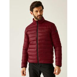 Regatta Steppjacke "Marizion" in Bordeaux - 68% | Gr&ouml;&szlig;e 3XL | Herrenjacken