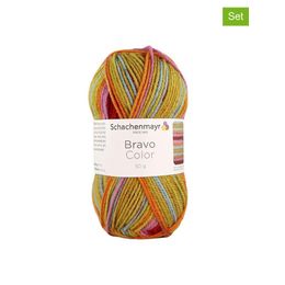 Schachenmayr since 1822 20er-Set: Kunstfasergarne ''Bravo Color'' in Bunt - 20x 50 g - 30% | Kreativbedarf-diy