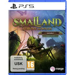 NBG Spielesoftware »Smalland: Survive the Wilds - [Playstation 5]« PlayStation 5 ohne Farbbezeichnung Bau deine perfekte Basis auf einem Großen...
