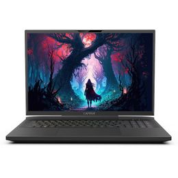 Captiva Gaming-Notebook &raquo;Advanced Gaming I87-527CH&laquo; ohne Farbbezeichnung Windows 11 Home 64-bit, Schweizer Tastatur Layout
