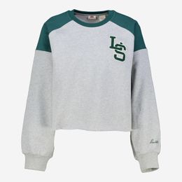 Levi's Grau-gr&uuml;nes Sweatshirt mit Fleecefutter