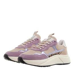 Steve Madden Low-Top Sneaker - Starlyn - Gr. 38 (EU) - in Beige - f&uuml;r Damen