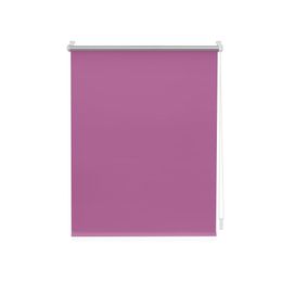LICHTBLICK Seitenzugrollo in Fuchsia | Gr.: 40 x 150 cm