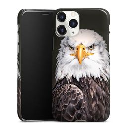 DeinDesign iPhone 11 Pro Handy Premium Case Smartphone Handyh&uuml;lle Schutzh&uuml;lle gl&auml;nzend Animals Bird Eagle Premium Case