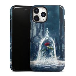 DeinDesign iPhone 11 Pro Handy Panzer Handyh&uuml;lle robuste Outdoor H&uuml;lle Schutzh&uuml;lle gl&auml;nzend The Beauty And The Beast Disney Princess Rose Tough Case