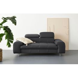 2-Sitzer COTTA "Chef", schwarz, B:196cm H:72cm T:105cm, Softlux-Kunstleder;NaturLeder (echtes Rindsleder);Luxus-Microfaser (100% Polyester), Sofas, Big-Sofa mit Kopfteilverstellung, edle Metallkufen