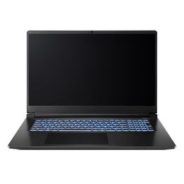 Captiva Gaming-Notebook "Advanced Gaming I94-279GE", ohne farbbezeichnung, B:28,9cm H:3cm T:41,9cm, Notebooks