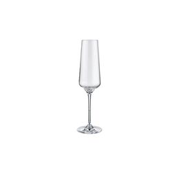 Leonardo Sektglas Mozart &brvbar; transparent/klar &brvbar; Glas &brvbar; Ma&szlig;e (cm): B: 7,2 H: 14,4 &raquo; H&ouml;ffner
