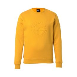 Forsberg Sweatshirt 'Sweatshirt mit 3D Logo' male Yellow size 4XL