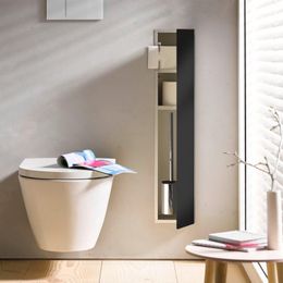 Emco Asis 2.0 WC-Modul, 975428552,