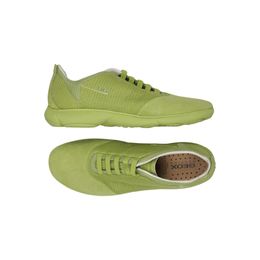 Geox Sneaker Herren Gr&ouml;&szlig;e 43 Second Hand hellgr&uuml;n