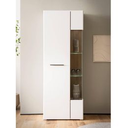 Pharao24.de Wohnzimmerschrank Standvitrine mit Glast&uuml;r in modernem Design