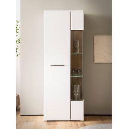Pharao24.de Wohnzimmerschrank Standvitrine mit Glast&uuml;r in modernem Design