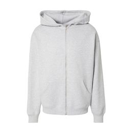 DAN FOX APPAREL Zip-Up Hoodie 'Fabian' male Grey size XL
