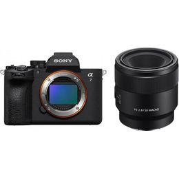 Sony Alpha ILCE-7 V + SEL FE 50mm f2,8 Makro