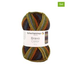 Schachenmayr since 1822 20er-Set: Kunstfasergarne ''Bravo Color'' in Bunt - 20x 50 g - 20% | Kreativbedarf-diy