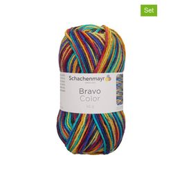 Schachenmayr since 1822 20er-Set: Kunstfasergarne ''Bravo Color'' in Bunt - 20x 50 g - 20% | Kreativbedarf-diy