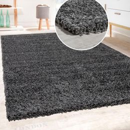 Paco Home Hochflor-Teppich &raquo;Sky 250&laquo; rechteckig 34 mm H&ouml;he gewebt, Uni-Farben, intensive Farbbrillanz, auch als L&auml;ufer erh&auml;ltlich anthrazit...