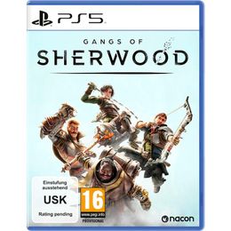 Big Ben Interactive BIGBEN Spielesoftware »Gangs of Sherwood« PlayStation 5 ohne Farbbezeichnung EINE EXPLOSIVE KAMPAGNE – Vom Sherwood