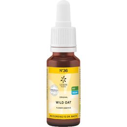 HAGER PHARMA Bachbl&uuml;ten No.36 Wild Oat Bio 20 ml
